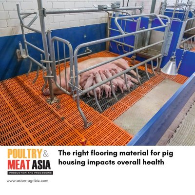 Homepage - Big Dutchman