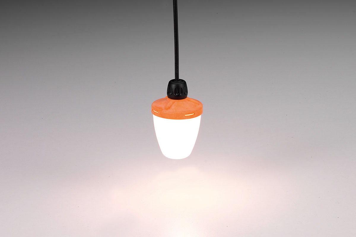 House lighting: professional lighting solutions for pig and poultry ...