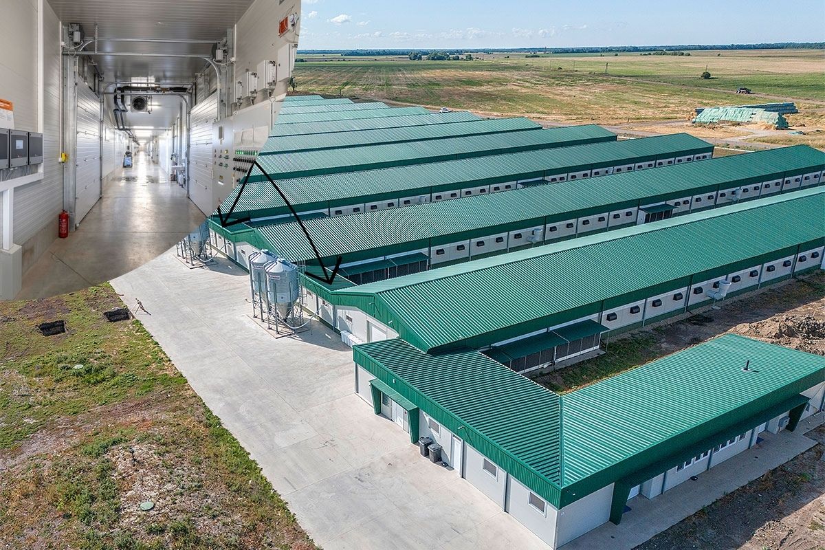 Top-level broiler production in Hungary: Big Dutchman supplies poultry ...