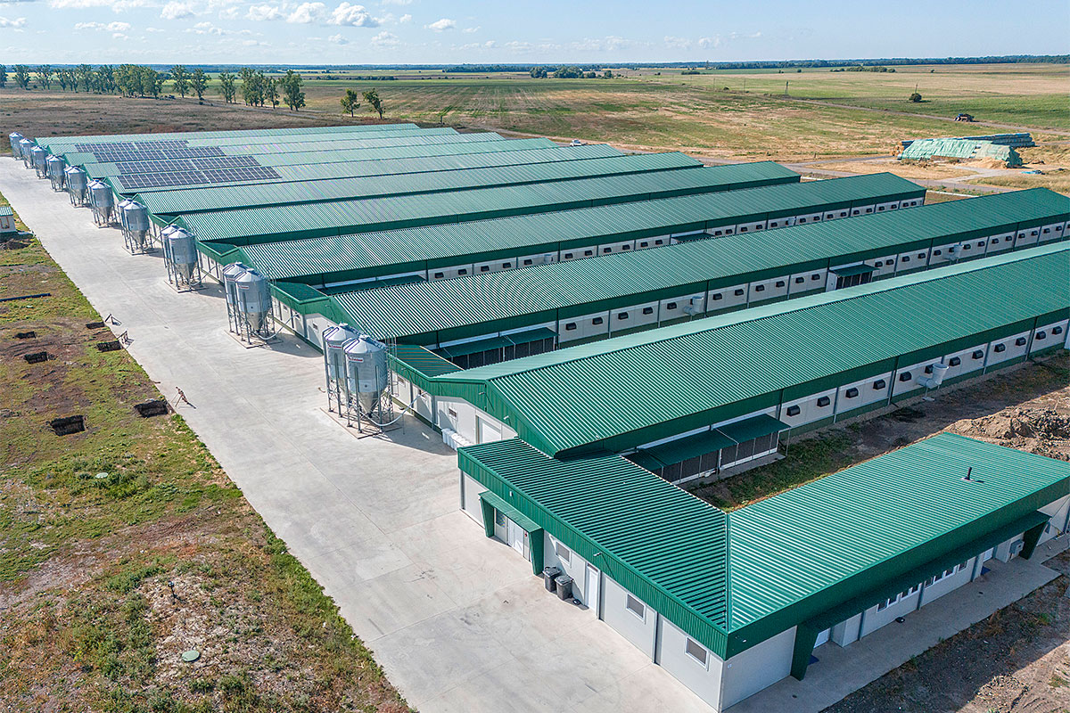 Top-level broiler production in Hungary: Big Dutchman supplies poultry ...